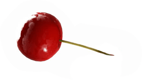 SFP | Indiana Web Design & Development