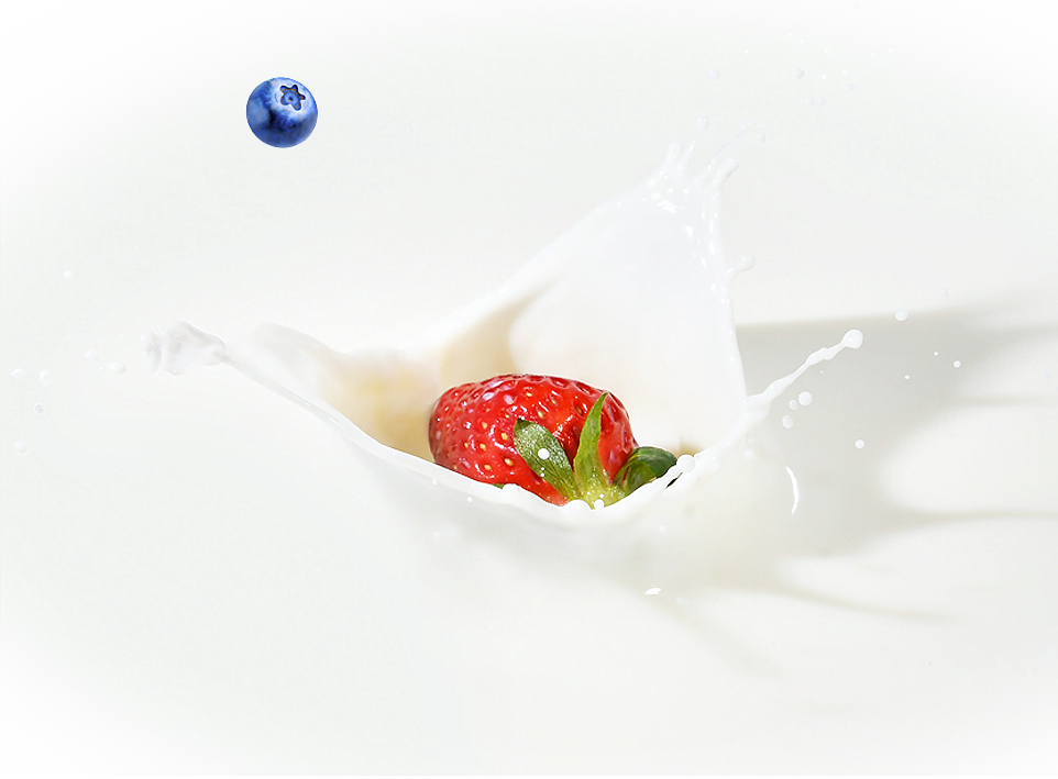 SFP | Indiana Web Design & Development